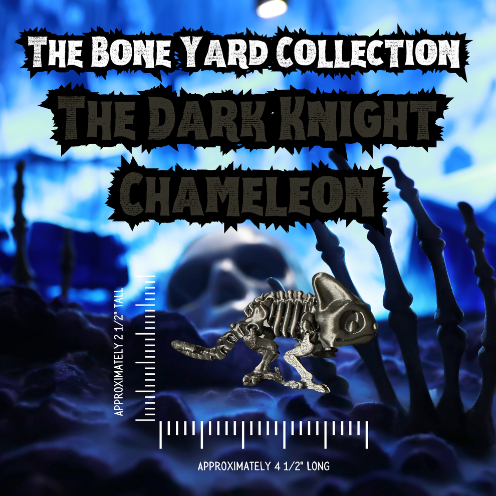 Raptor's Collectible – Raptor's Collectibles